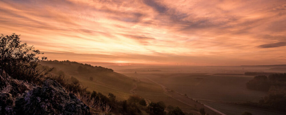 Westwinde – ein ausführlicher Jahrgangsbericht 2020 aus dem Weingut ...