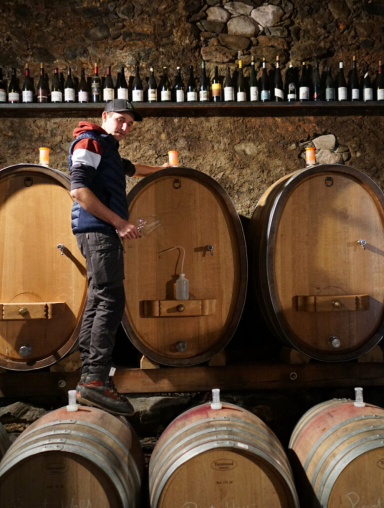 WRINT Flaschen live im September – Im Eisacktal mit Weinen von Daniel ...