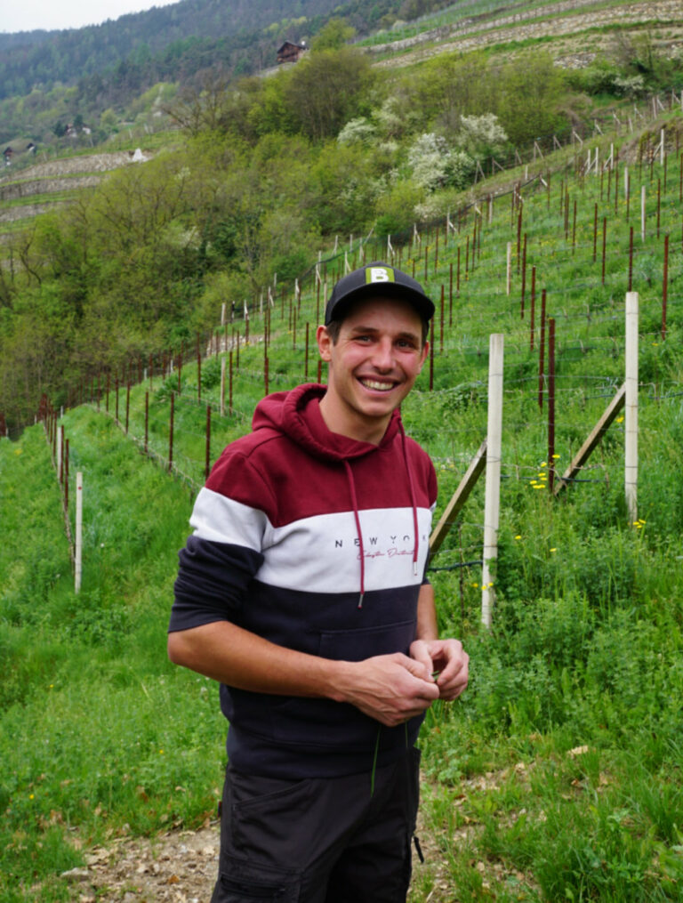 WRINT Flaschen live im September – Im Eisacktal mit Weinen von Daniel ...
